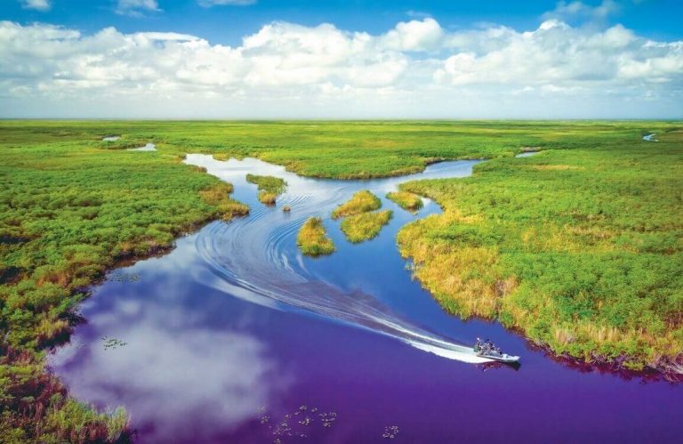 Everglades National Park Florida 2026