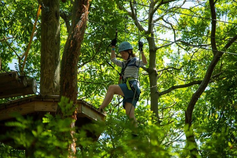Treetop Trekking Miami — Xtreme Action Park South Florida
