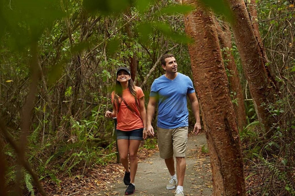 Top 10 Hiking Trails in Miami — Best Places To Walk Near Me 2025