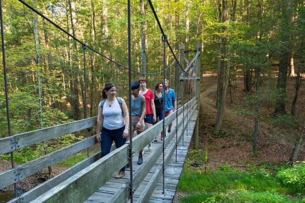 Top 10 Hiking Trails in Miami — Best Places To Walk Near Me 2023