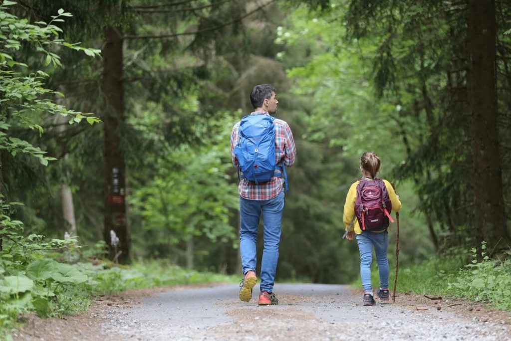 Top 10 Hiking Trails in Miami — Best Places To Walk Near Me 2023